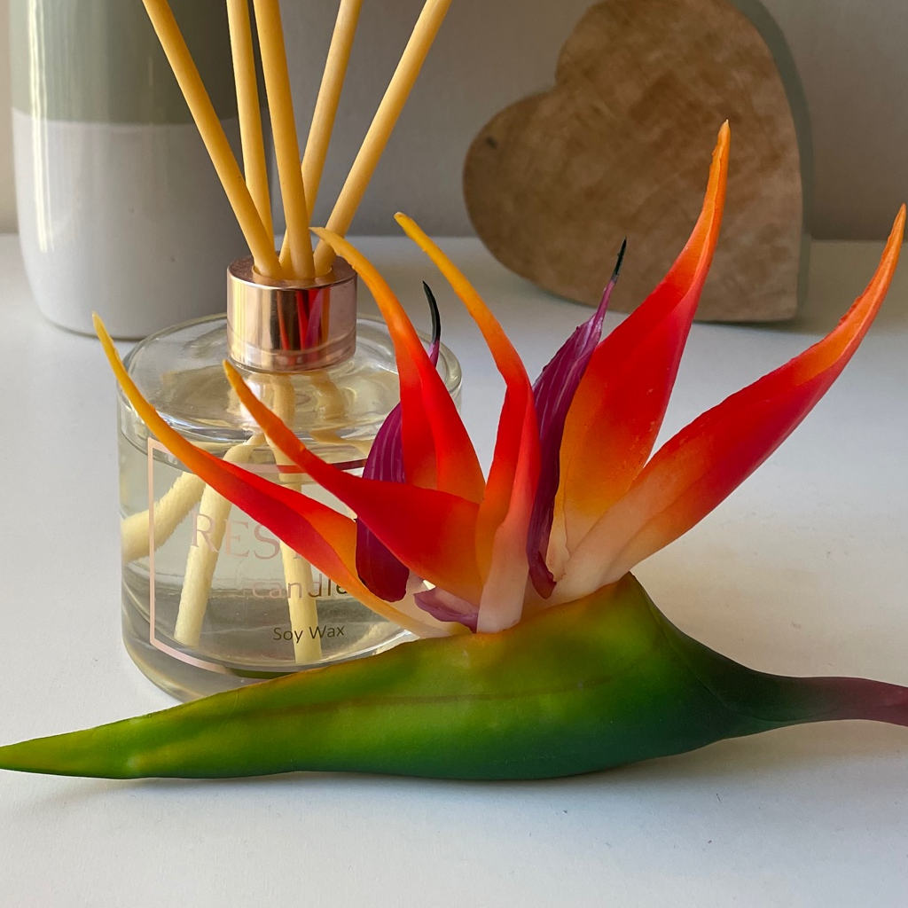 Birds of Paradise - Reed Diffuser (200ml) – RESTLESS Candles